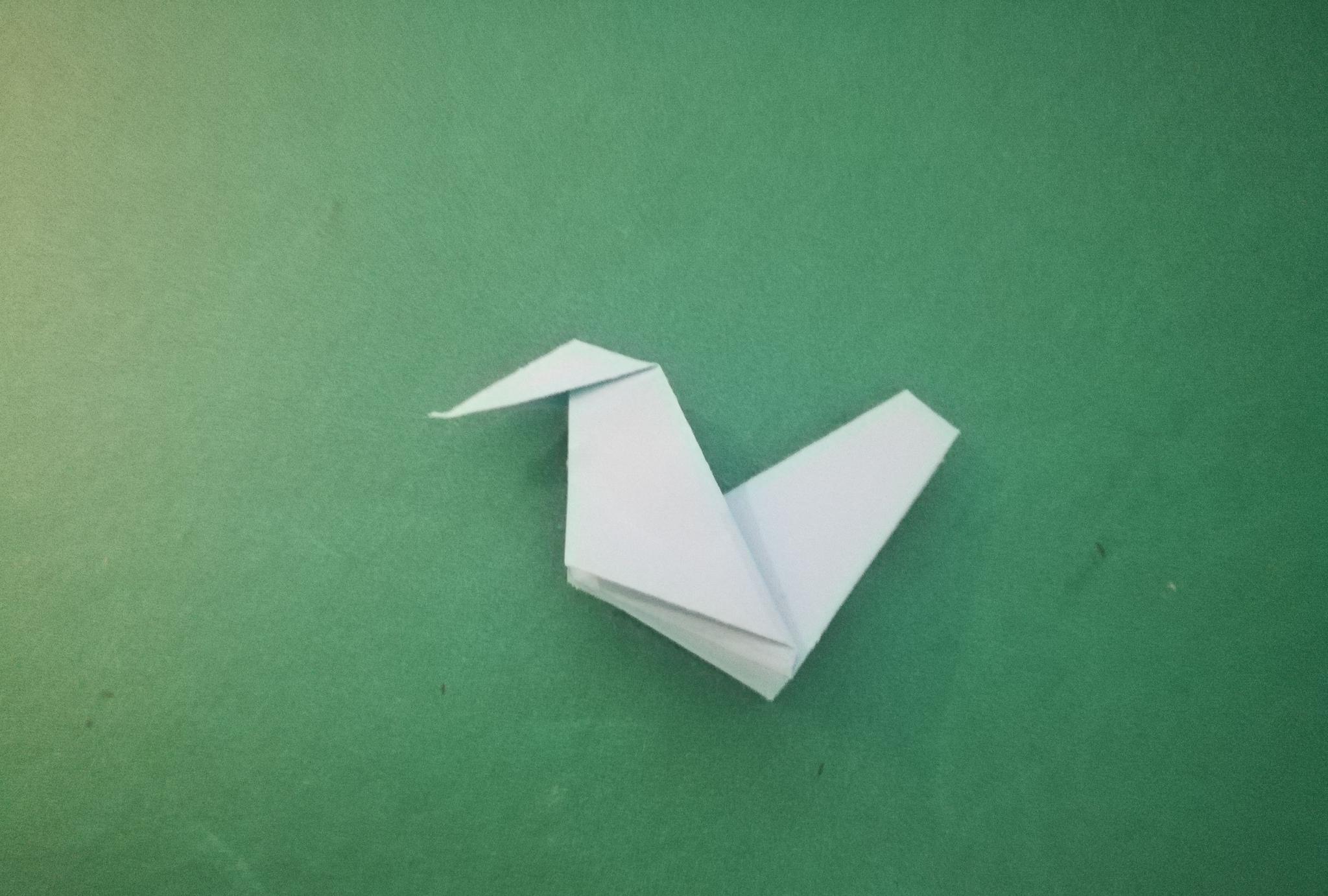 折纸圈子：孔雀折纸的做法分享，一分钟就能轻松学会！