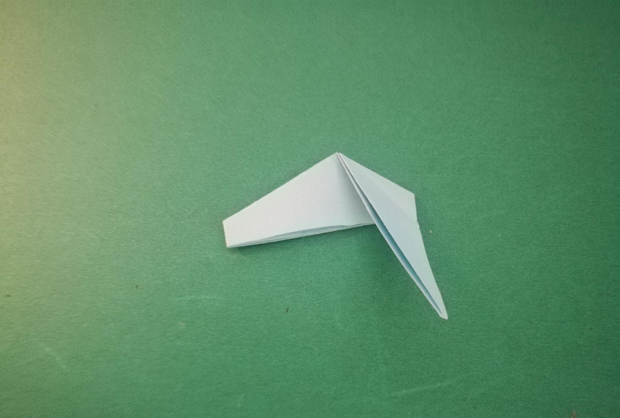 折纸圈子：孔雀折纸的做法分享，一分钟就能轻松学会！