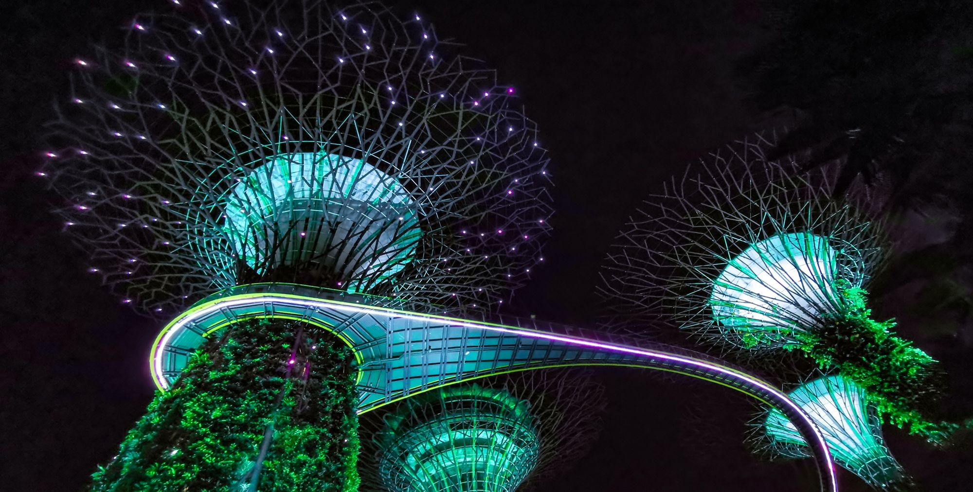 新加坡必打卡，滨海湾花园绝美的超级树