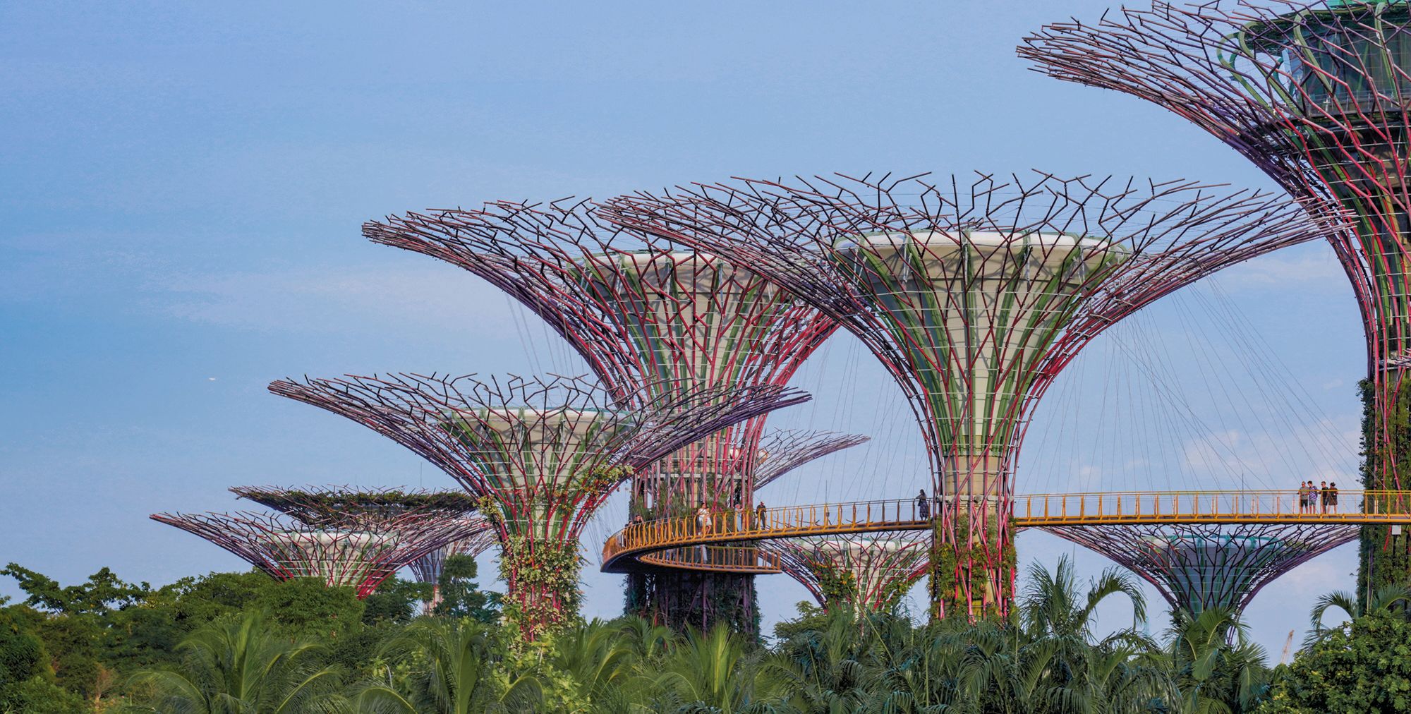 新加坡必打卡，滨海湾花园绝美的超级树