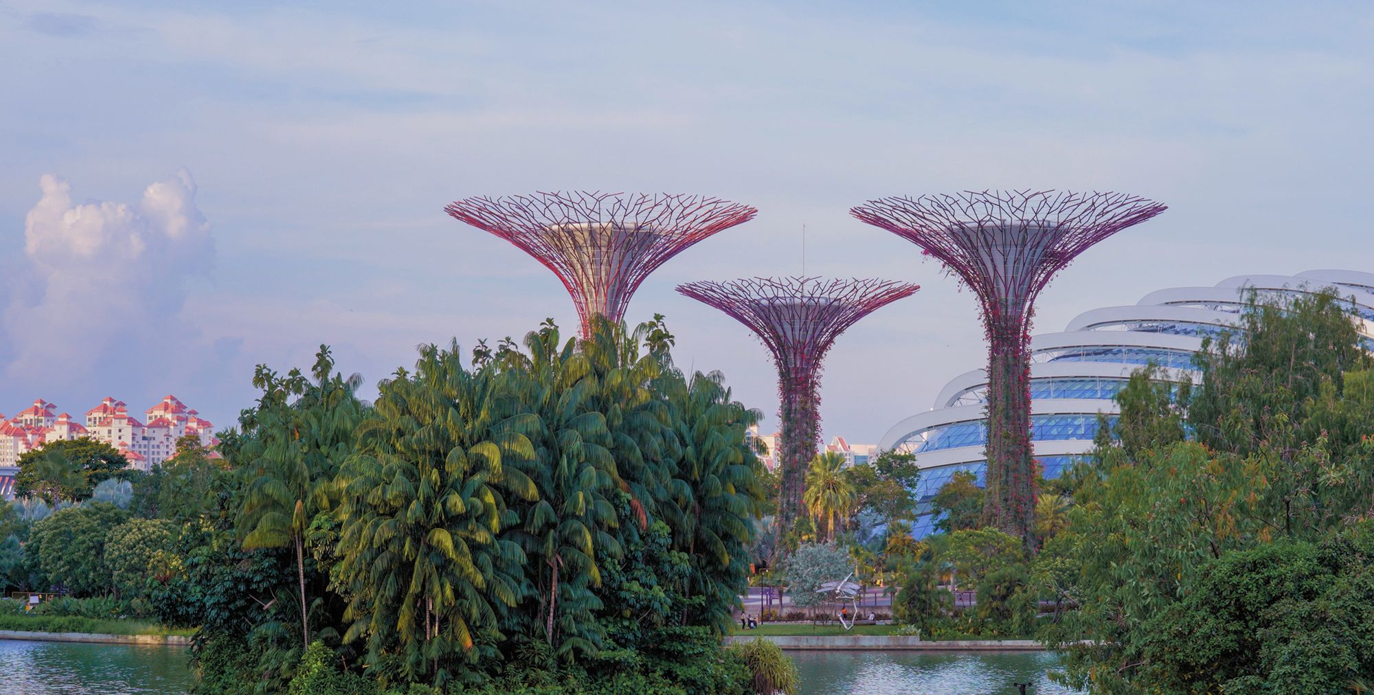 新加坡必打卡，滨海湾花园绝美的超级树