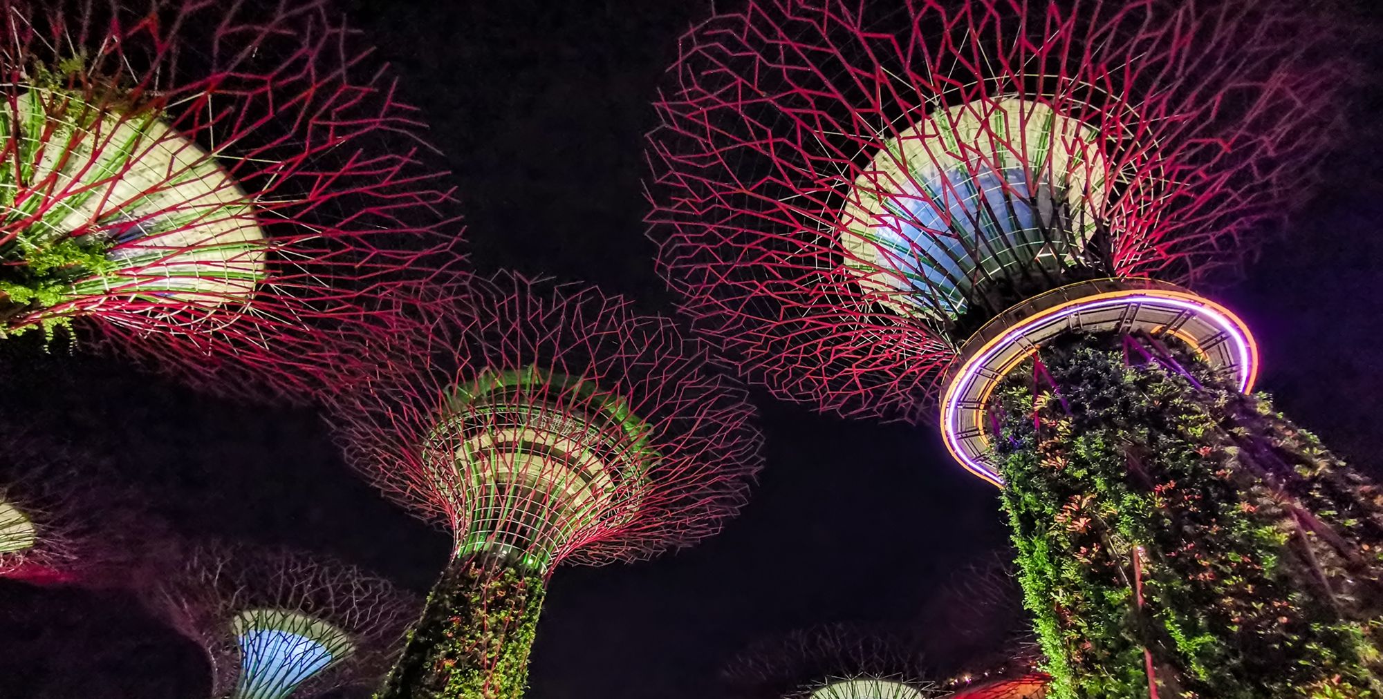 新加坡必打卡，滨海湾花园绝美的超级树