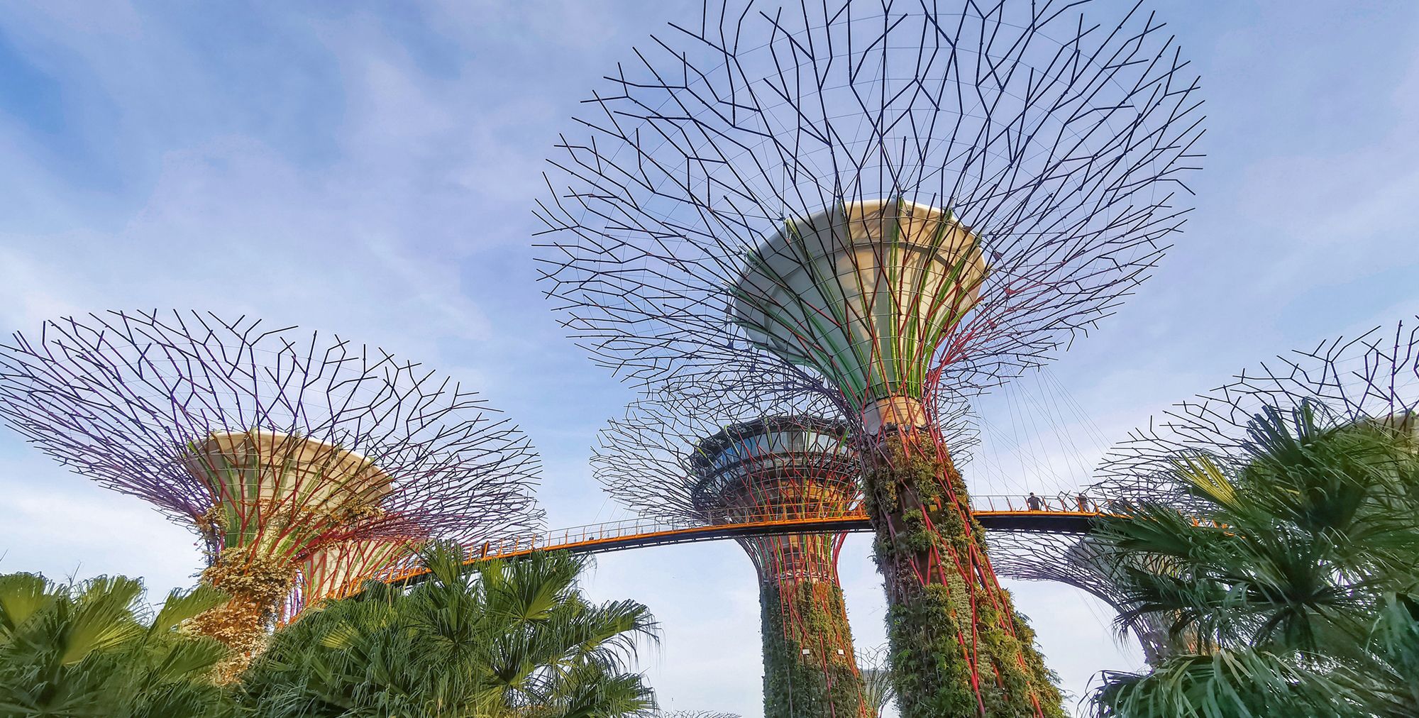 新加坡必打卡，滨海湾花园绝美的超级树