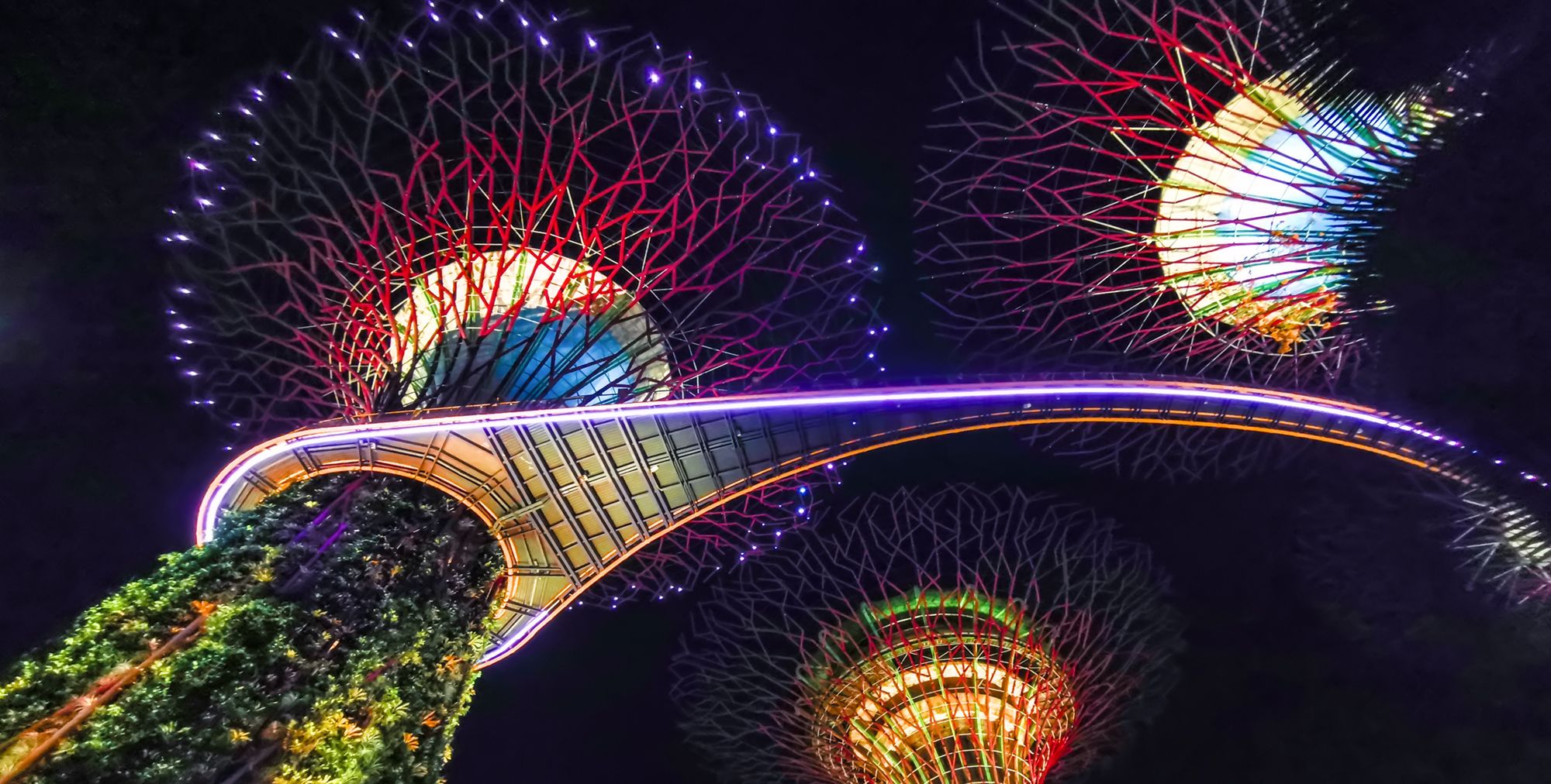 新加坡必打卡，滨海湾花园绝美的超级树