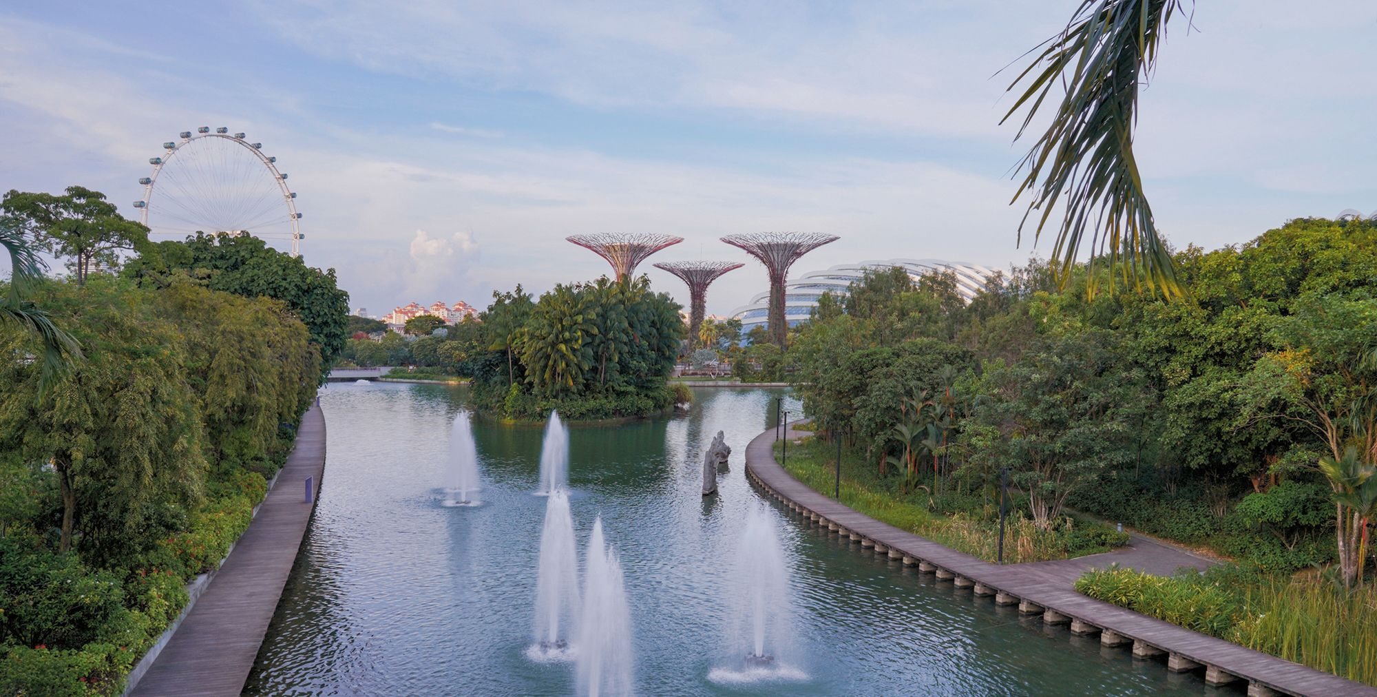 新加坡必打卡，滨海湾花园绝美的超级树