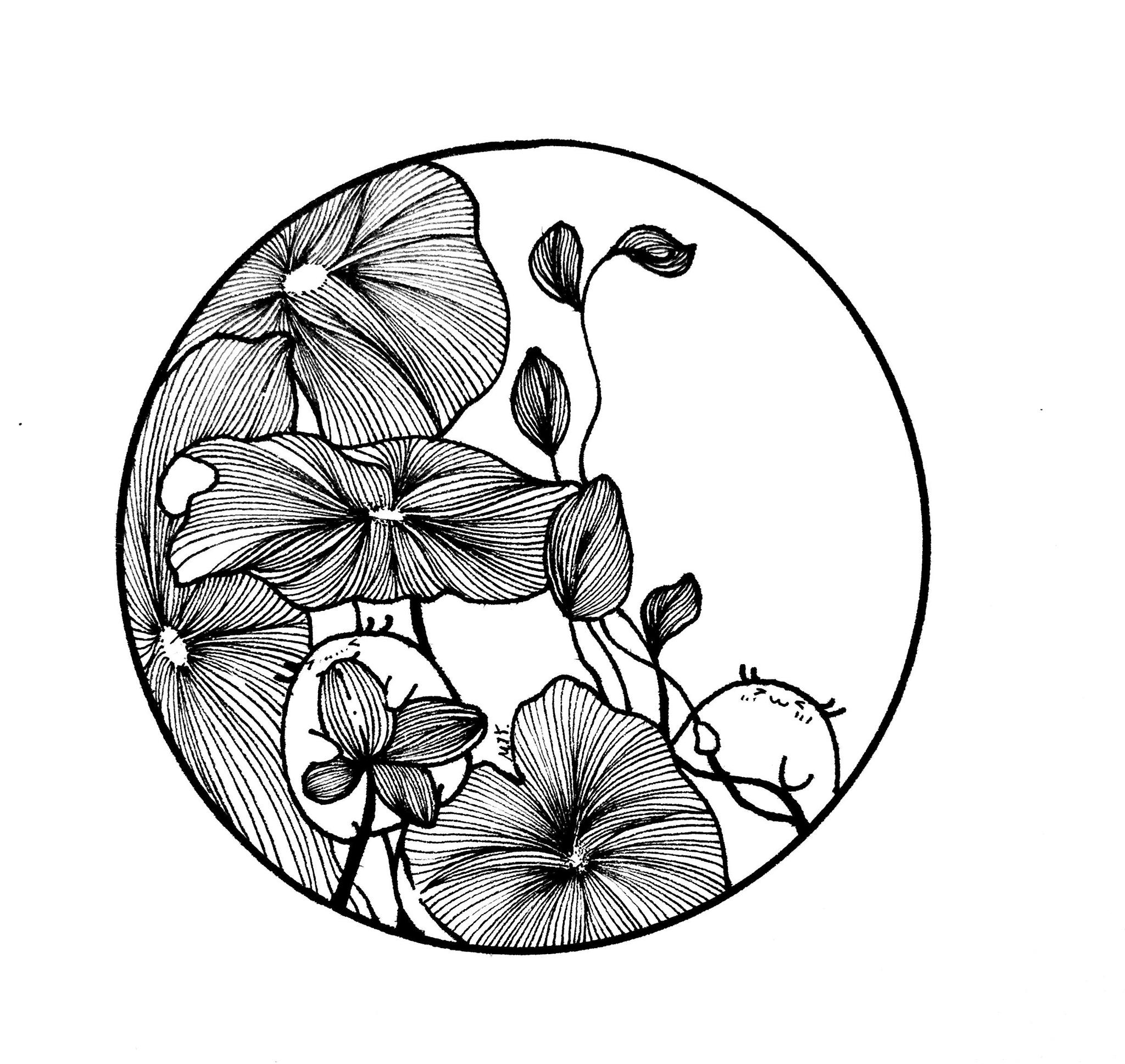 简笔画过程讲解，新手也能画得很好看！