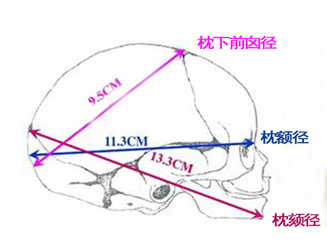 对胎位的描述LOA \ ROA \ LSA是？？？？