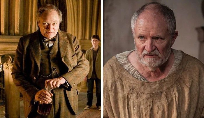 有几个人发现，这14名演员，既出演了权利的游戏又演了哈利波特