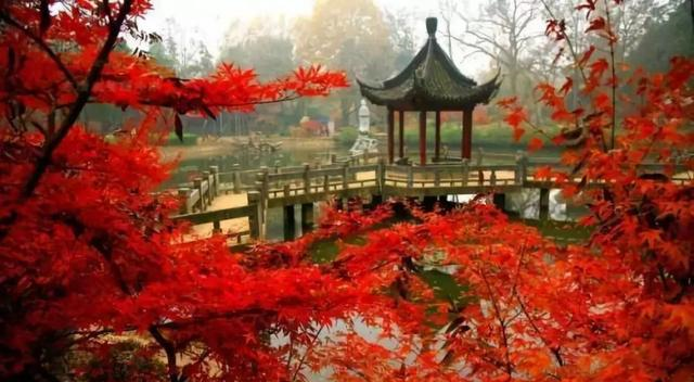 栖霞山——枫香晚华静，锦水南山影|栖霞|红叶谷|栖霞山_新浪新闻