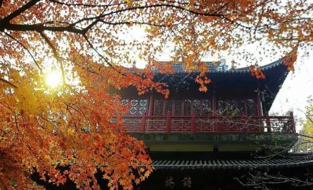 栖霞山——枫香晚华静，锦水南山影|栖霞|红叶谷|栖霞山_新浪新闻