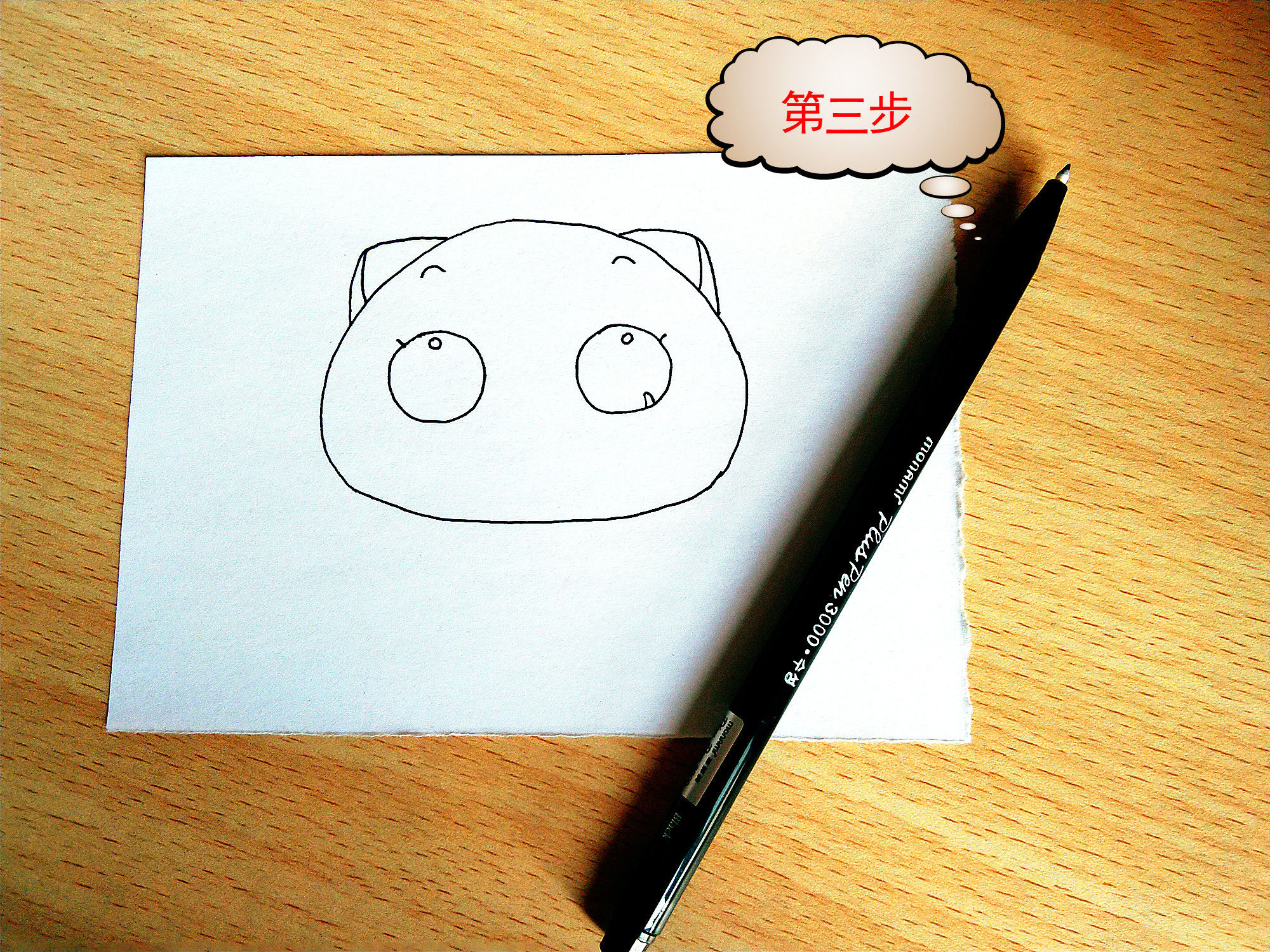 动物简笔画：六步画一只可爱的小萌猫|猫|简笔画|宠物_新浪新闻