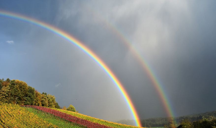 彩虹的景让人沉醉，各地各种不同的雨后彩虹呈现|彩虹|雨后|景色_新浪新闻