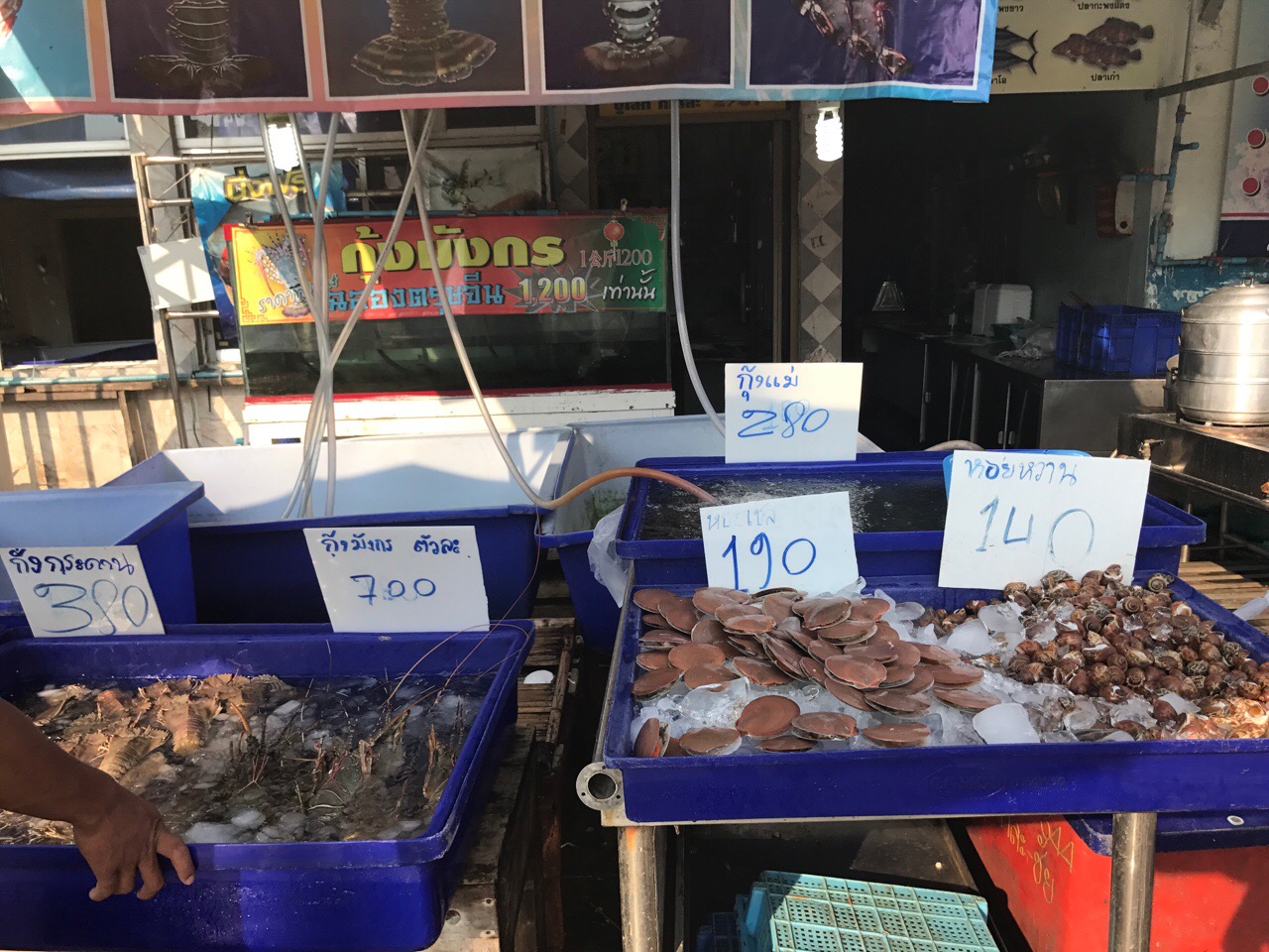 芭堤雅最平价的海鲜-吃喝玩乐Naklua Fish Market海鲜市场