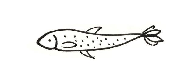 亲子简笔画鱼素材｜学画18种不同卡通画鱼，简单实用|简笔画|鱼|卡通画_新浪新闻