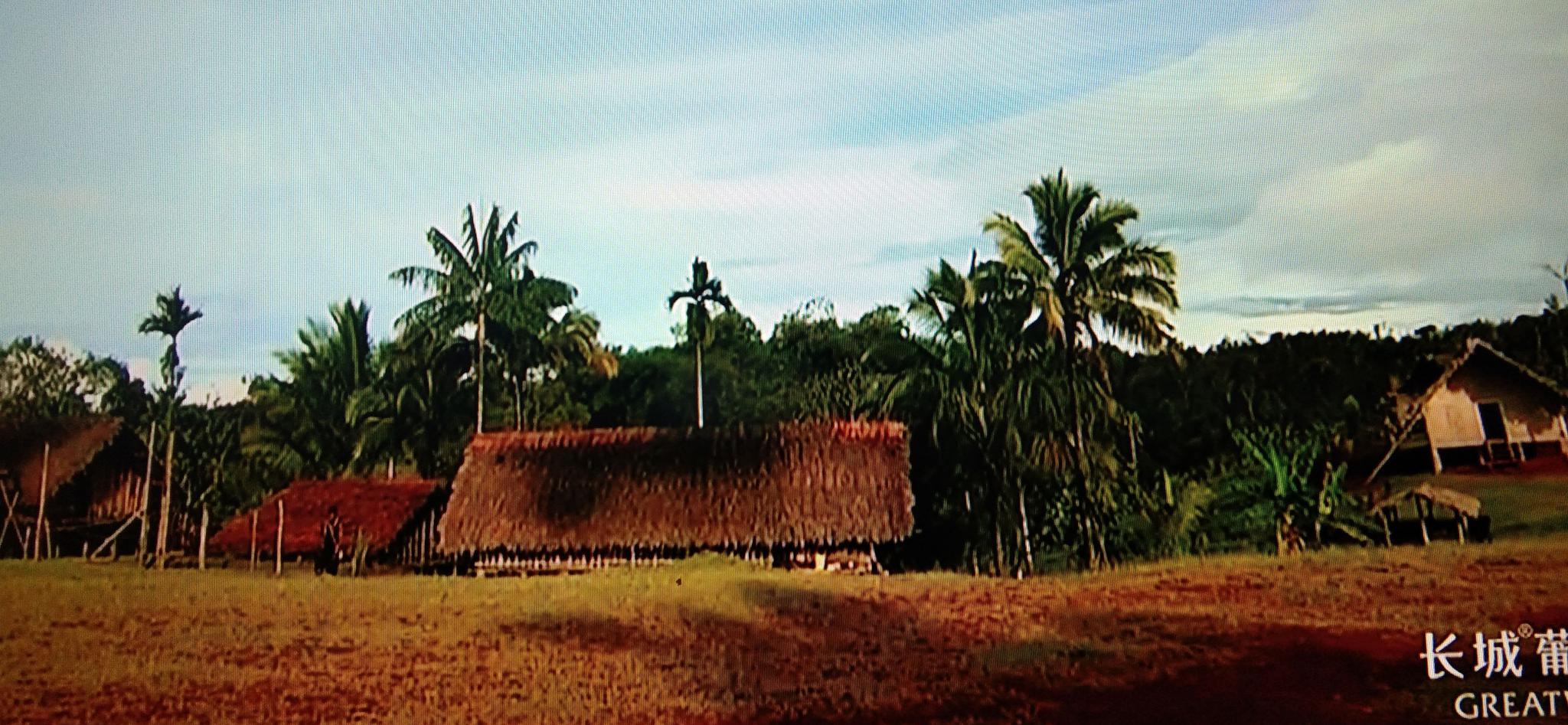 珍惜大中国的教育环境，看看巴布亚新几内亚孩子们求学的心酸泪|巴布亚新几内亚|露丝|迈克尔_新浪新闻