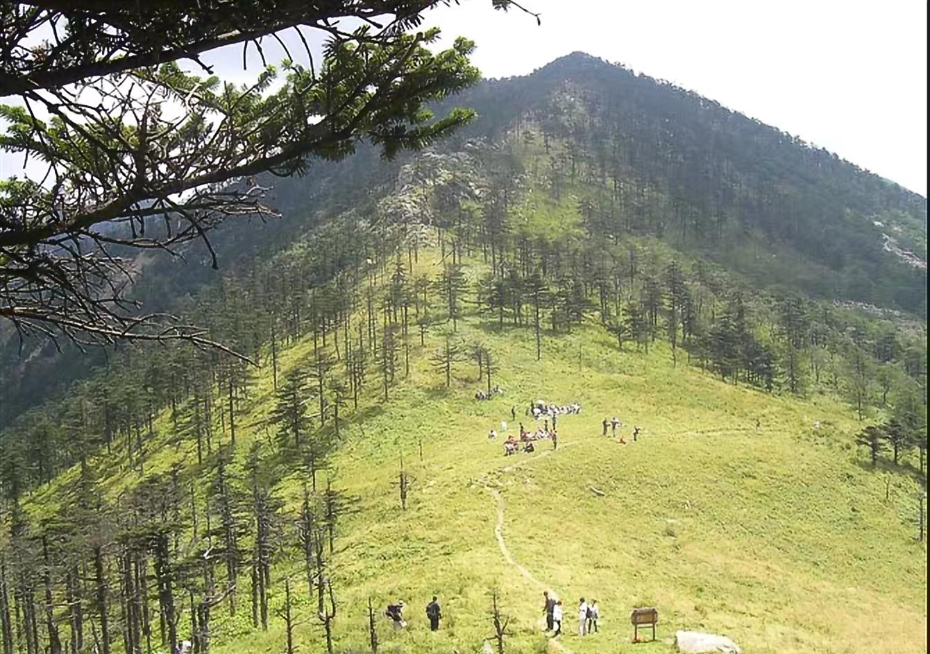 秦岭之巅，冰晶顶|大自然|冰晶|石海_新浪新闻