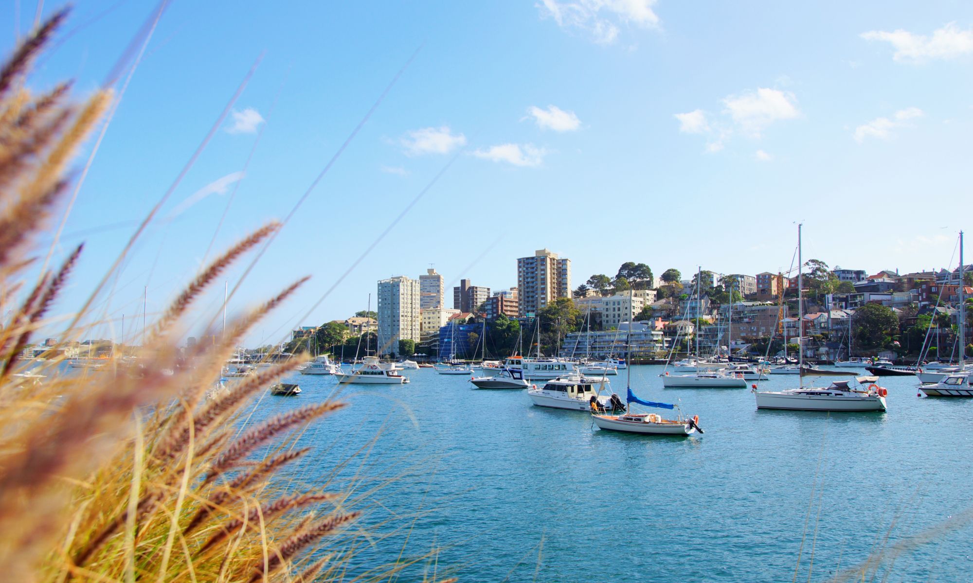 悉尼港：悉尼最繁华的地方，这里风景优美建筑出色|悉尼港|悉尼|海港大桥_新浪新闻