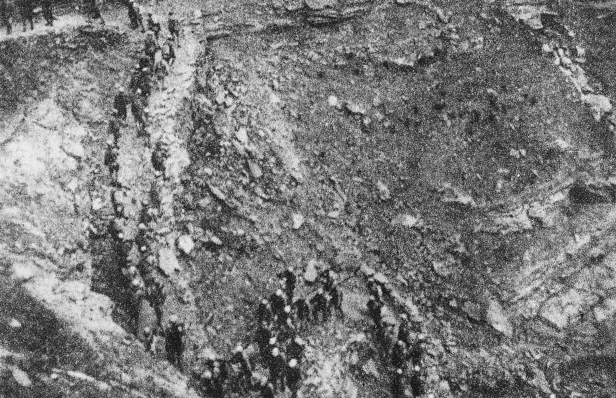 1937年老照片，淞沪会战日军入侵上海，大批的难民从虹口生死逃亡|日军|会战|虹口_新浪新闻