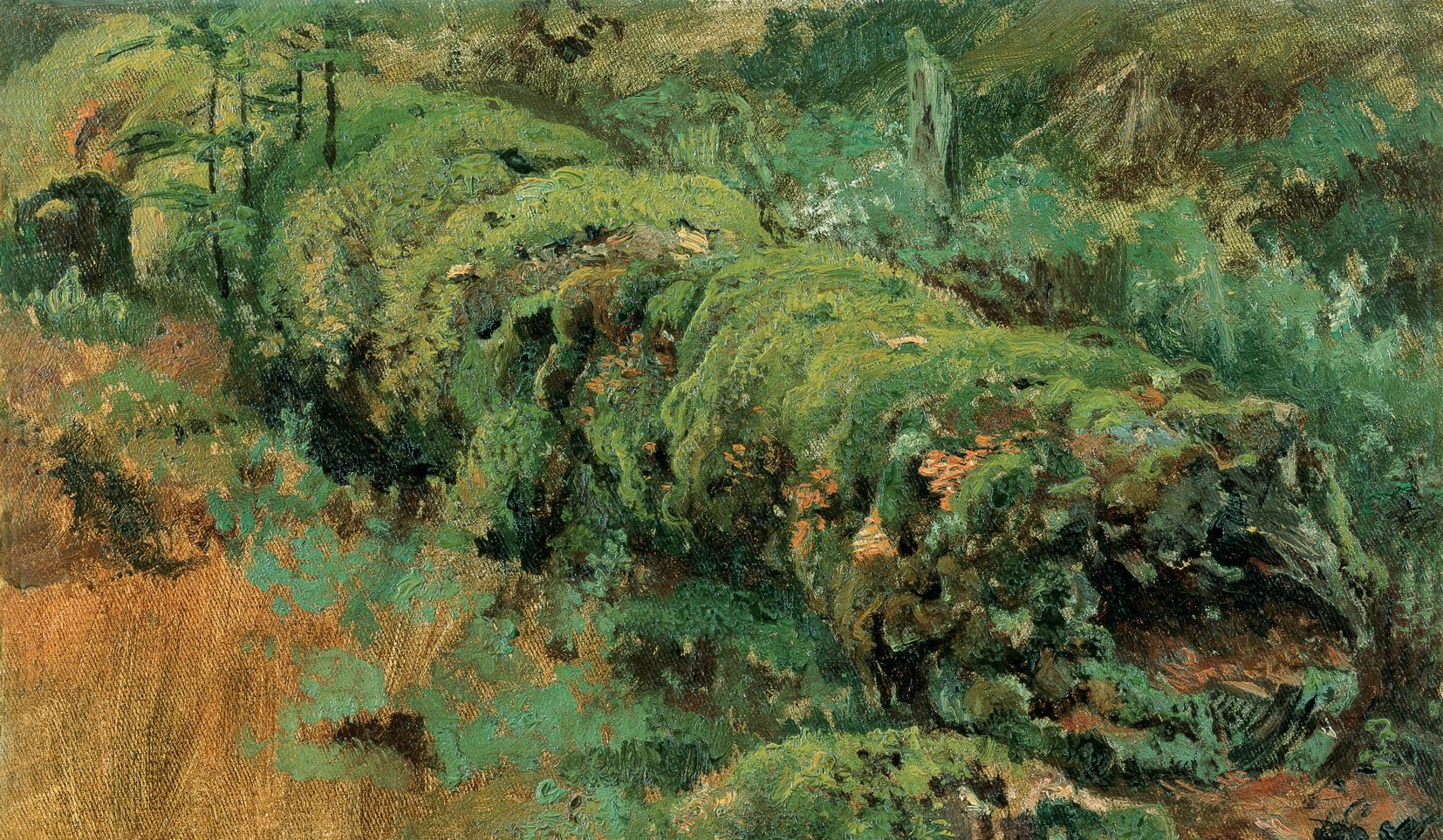 俄国现实主义风景绘画大咖 希施金 逼真风景油画欣赏