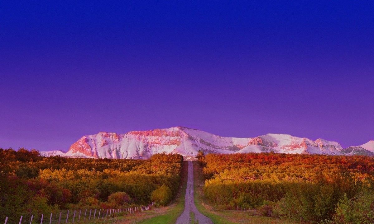 国庆假赏枫正当时 枫叶之国加拿大进入最美秋天时光