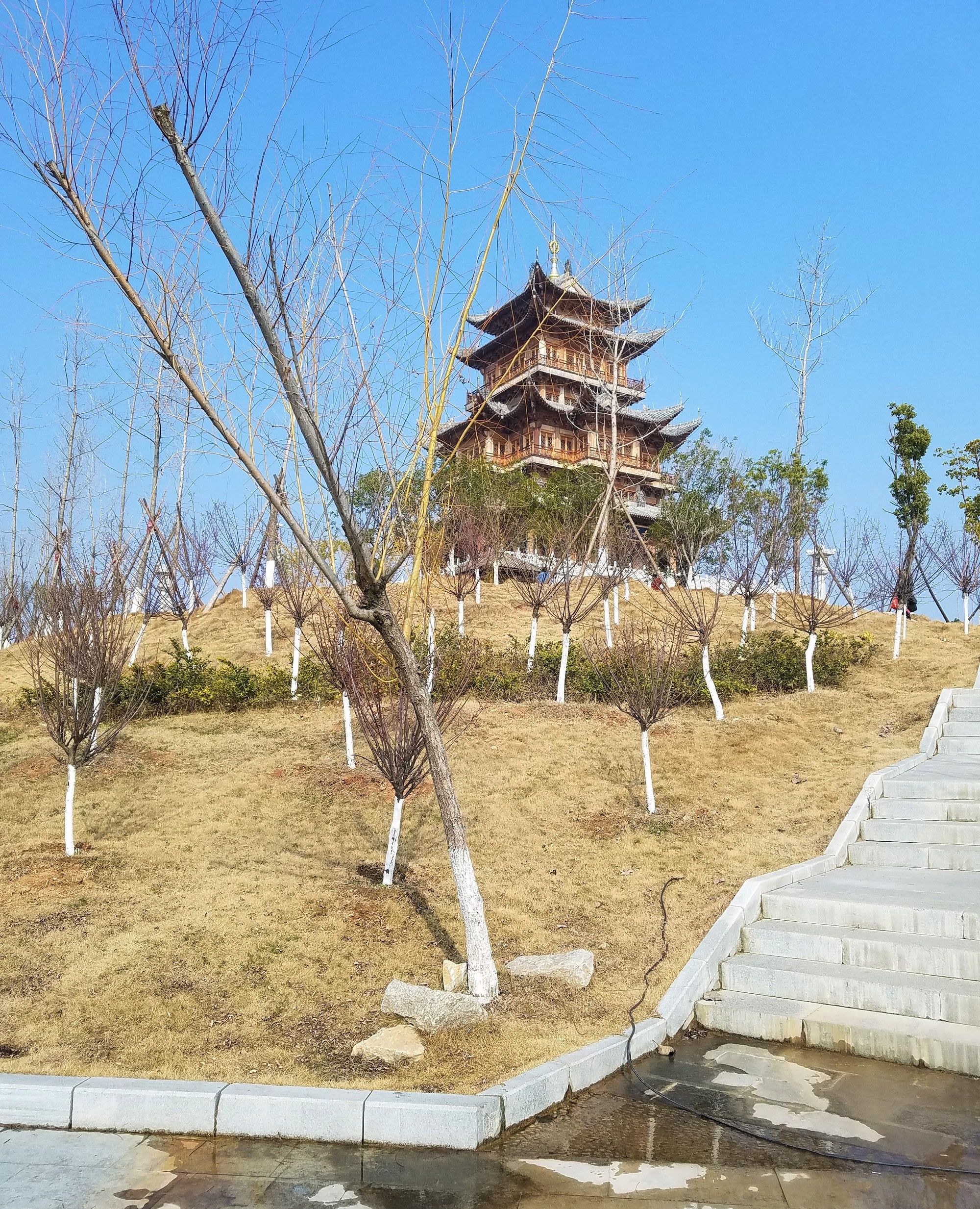 百善孝为先！中国特色文化小城麻城一日游，主打“孝善”，这不错|麻城|小城|文化_新浪新闻