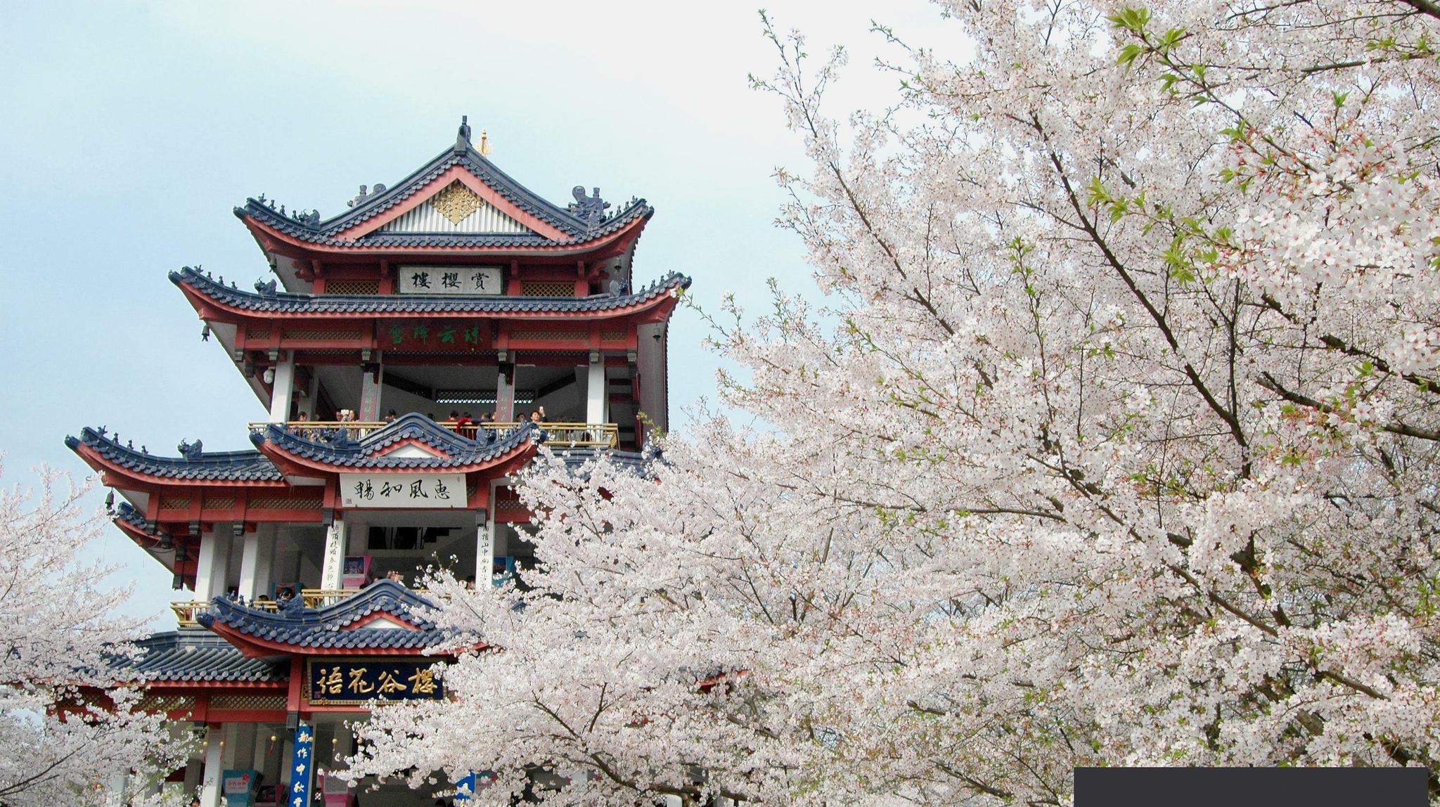 江苏无锡鼋头渚，国家AAAAA级旅游风景区，太湖胜境不虚此行