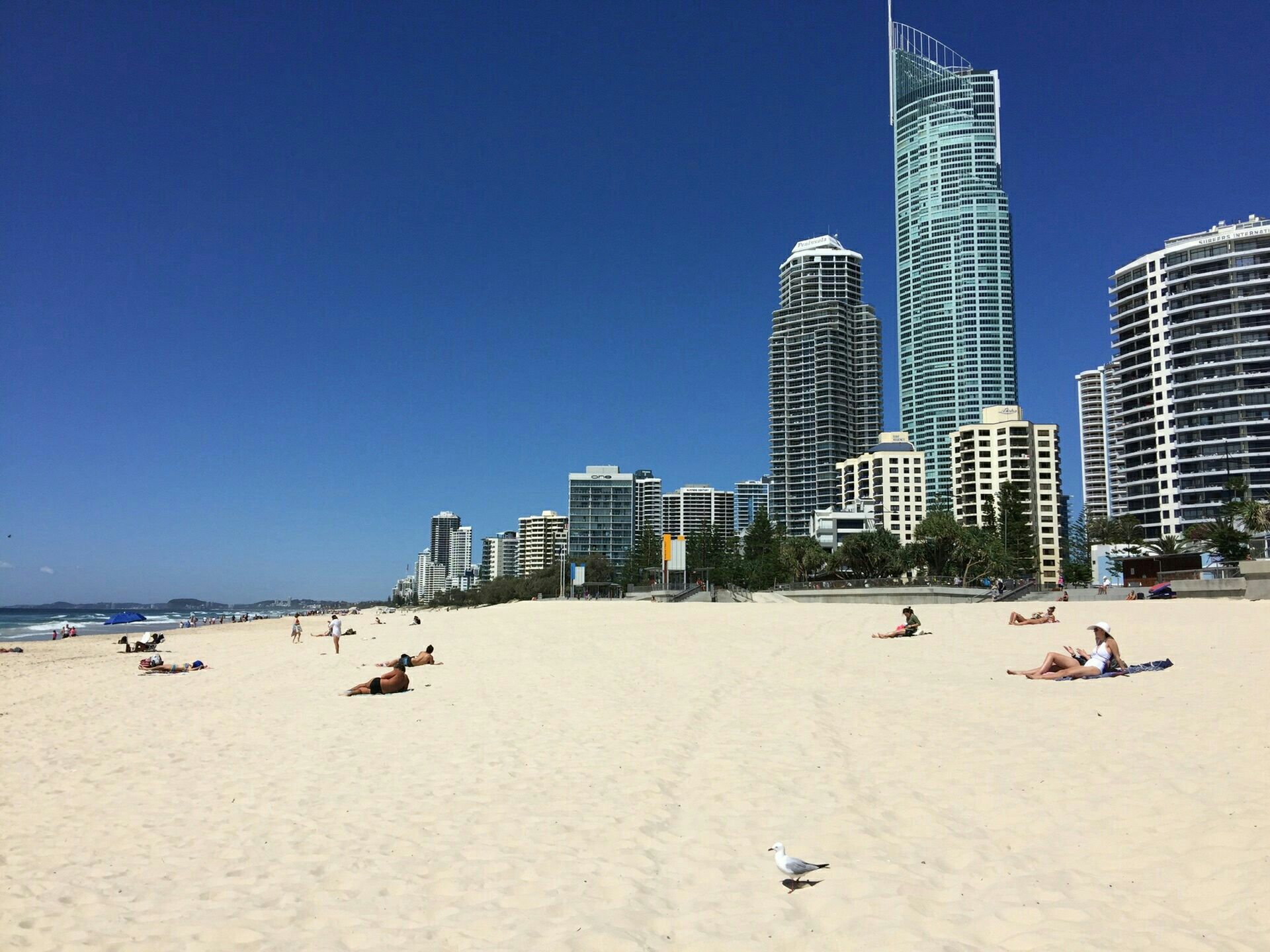 澳大利亚 黄金海岸|黄金海岸|澳大利亚_新浪新闻