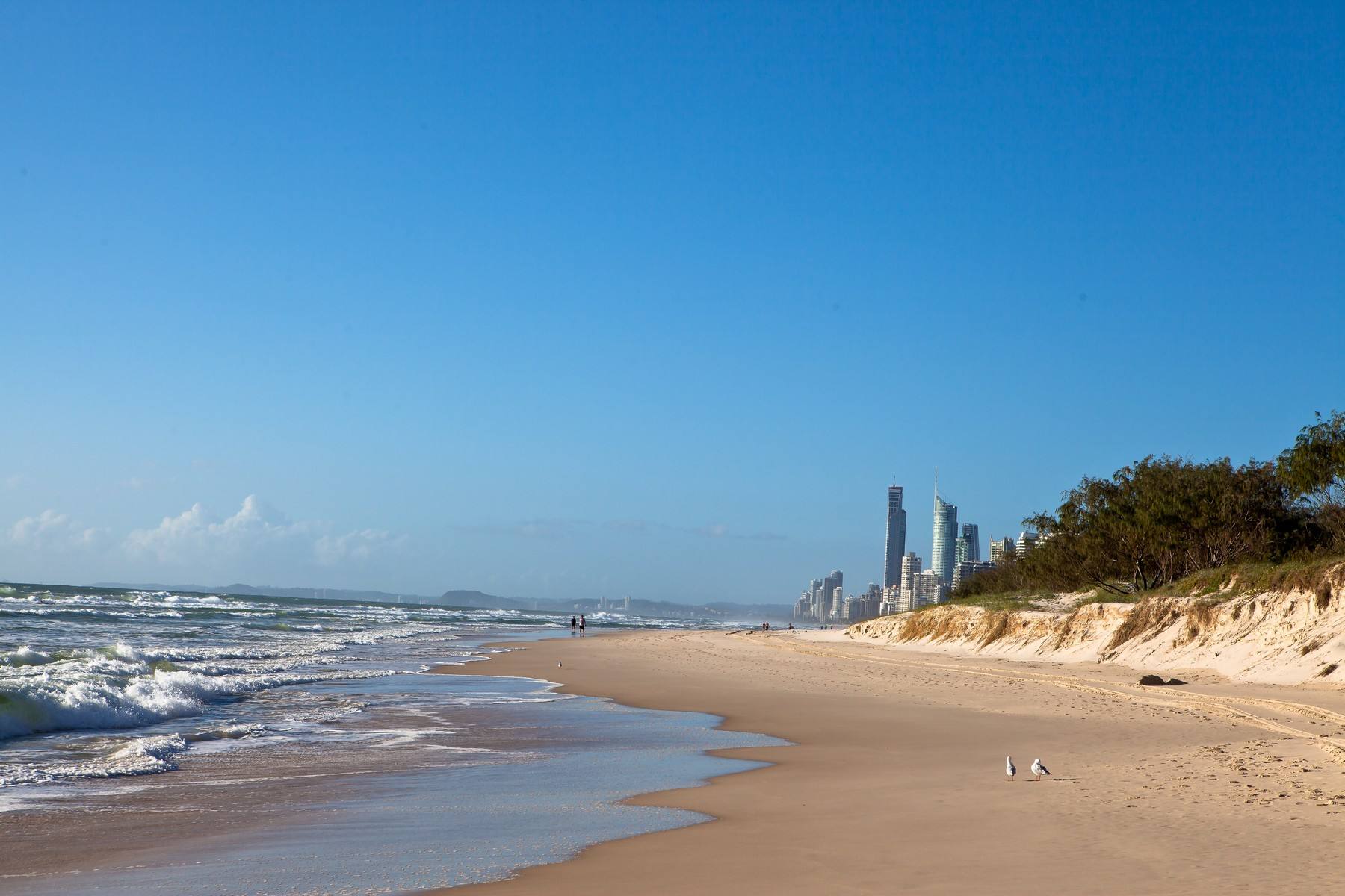 澳大利亚 黄金海岸|黄金海岸|澳大利亚_新浪新闻