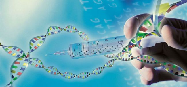 从销售到解决方案 西安杨森开始“新时代”布局