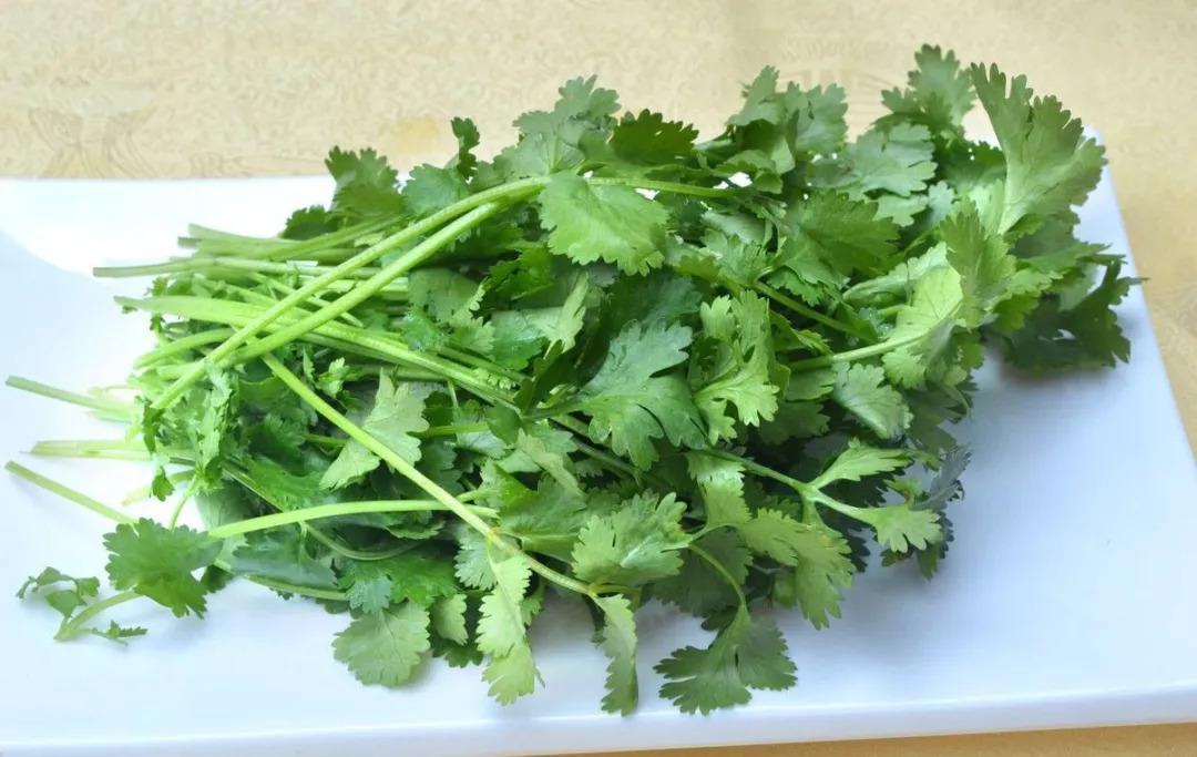 爱不爱吃香菜竟然是由OR6A2这一基因决定的？