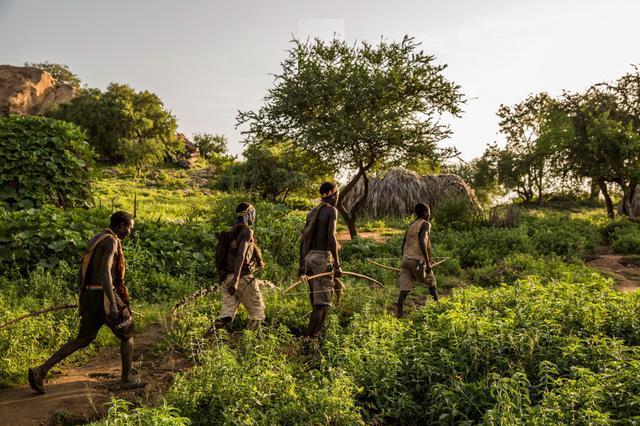 世界上最古老的原始部落，靠着狩猎为生，还能和动物交流！|原始部落|部落|游客_新浪新闻