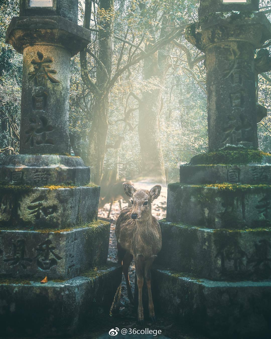 在世界各地的网红拍照地打卡 Merve Çevik|打卡|拍照|摄影师_新浪新闻