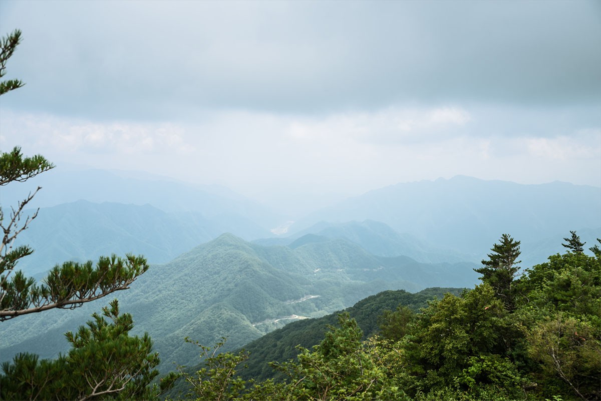 离西安仅60公里的秦岭，藏这一处美得让人窒息的地方，你去过吗？|牛背梁|保护区|景观_新浪新闻