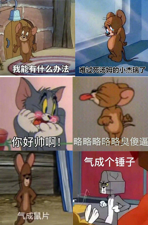 分享一组好玩的猫和老鼠表情包点赞好运满满喜欢 戳 坪 论~