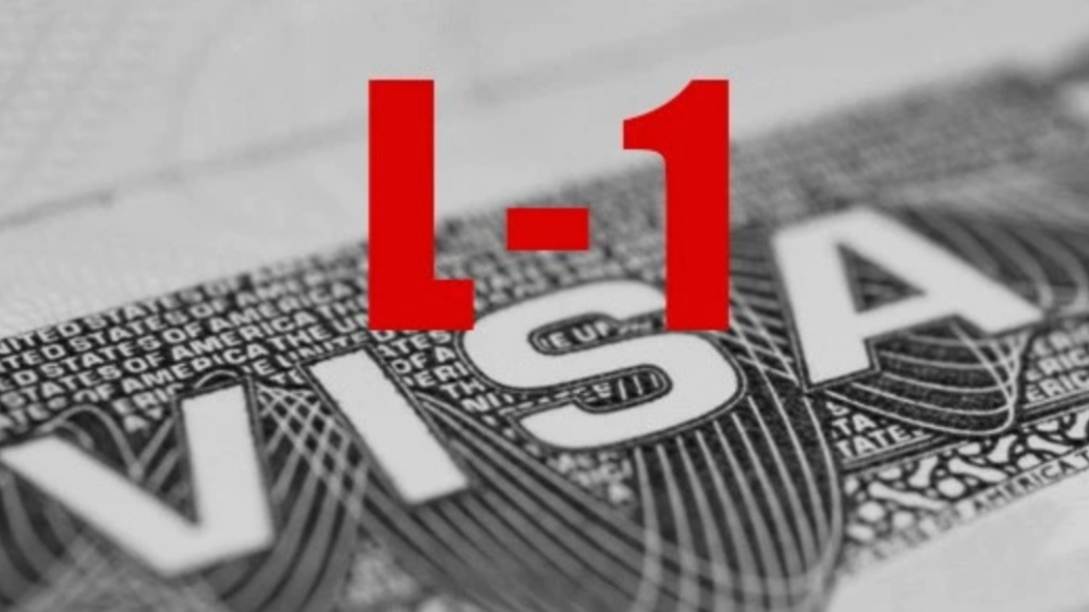 从贾跃亭到范冰冰，他们的L1签证到底是什么？|贾跃亭|签证|范冰冰|绿卡|申请人_新浪新闻
