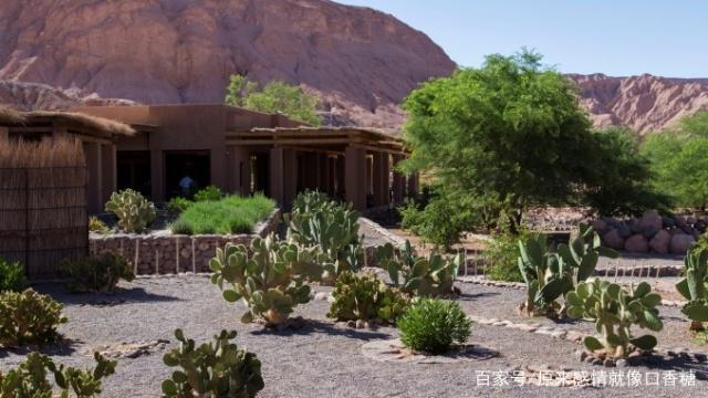 智利 -一个隐藏在阿塔卡马沙漠中的五星级豪华度假村|智利|午餐|游泳池_新浪新闻
