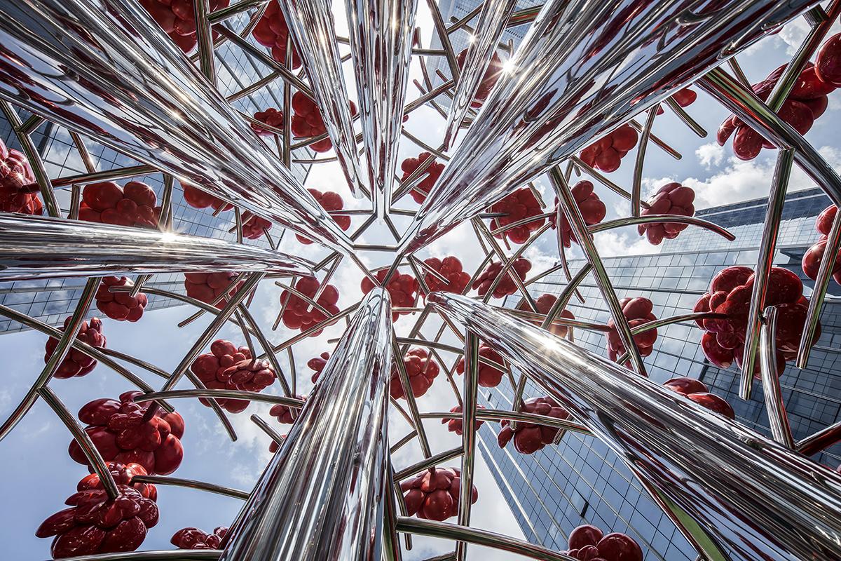 山茶花与大熊猫，罗志祥为你揭开重庆IFS神秘艺术装置的面纱|罗志祥|重庆|艺术家_新浪新闻