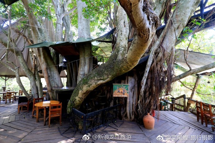 肯尼亚当地的网红餐厅，大树餐厅trout tree restaurant|网红|餐厅|肯尼亚_新浪新闻