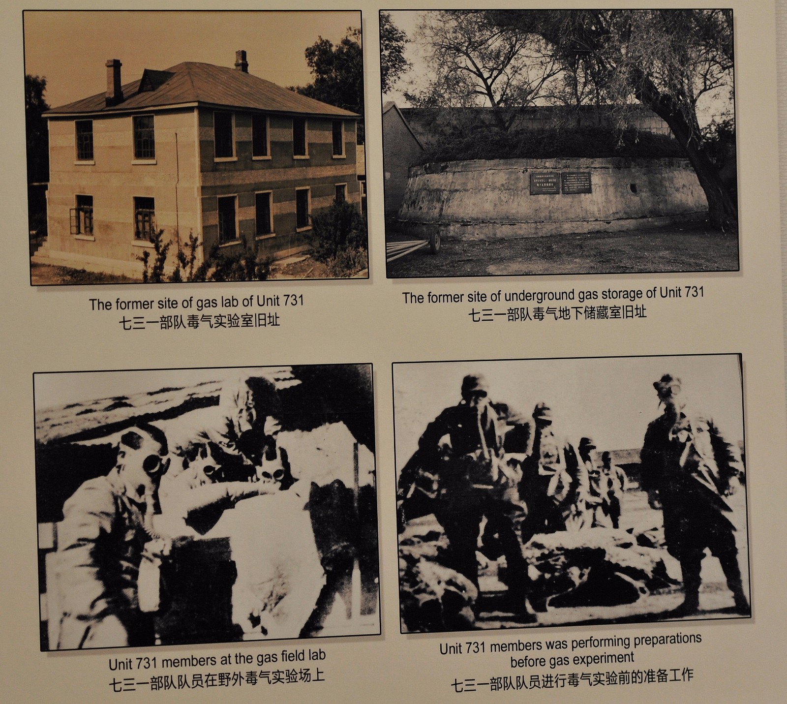侵华日军第731部队罪证展：人类暴行令人发指|侵华日军|细菌战|罪证_新浪新闻