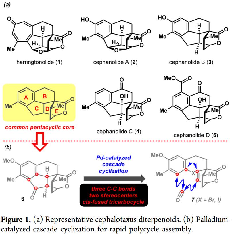 陕西师范大学赵玉明 实现(±)-Cephanolides B和C首次全合成__财经头条