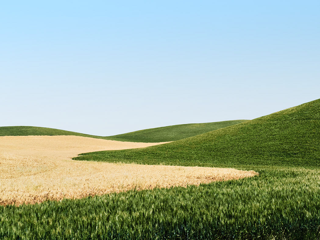 Palouse 山丘是华盛顿州的七大奇迹之一|山丘|华盛顿州|麦田|景色|摄影师_新浪新闻