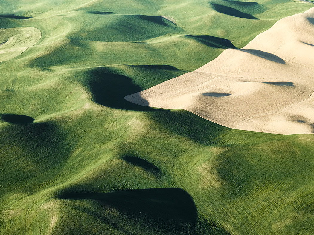 Palouse 山丘是华盛顿州的七大奇迹之一|山丘|华盛顿州|麦田|景色|摄影师_新浪新闻