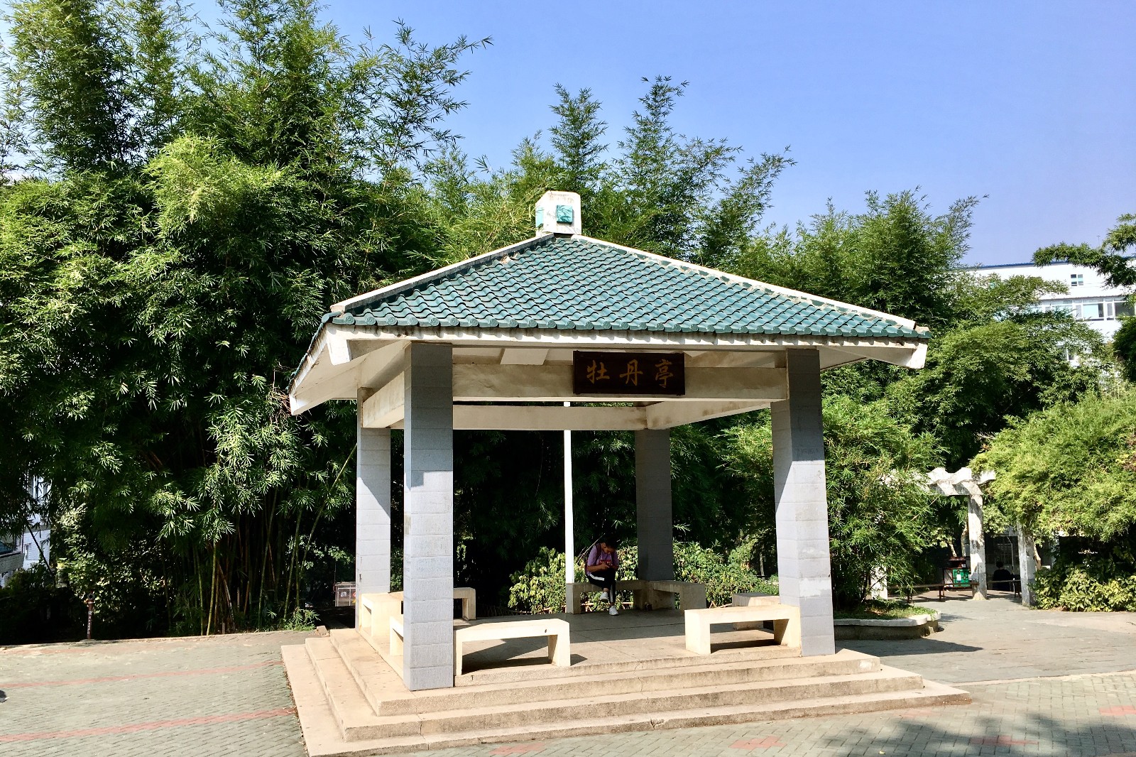 【行摄校园】华中师范大学 小景（1）|图书馆|历史建筑|华中师范大学_新浪新闻