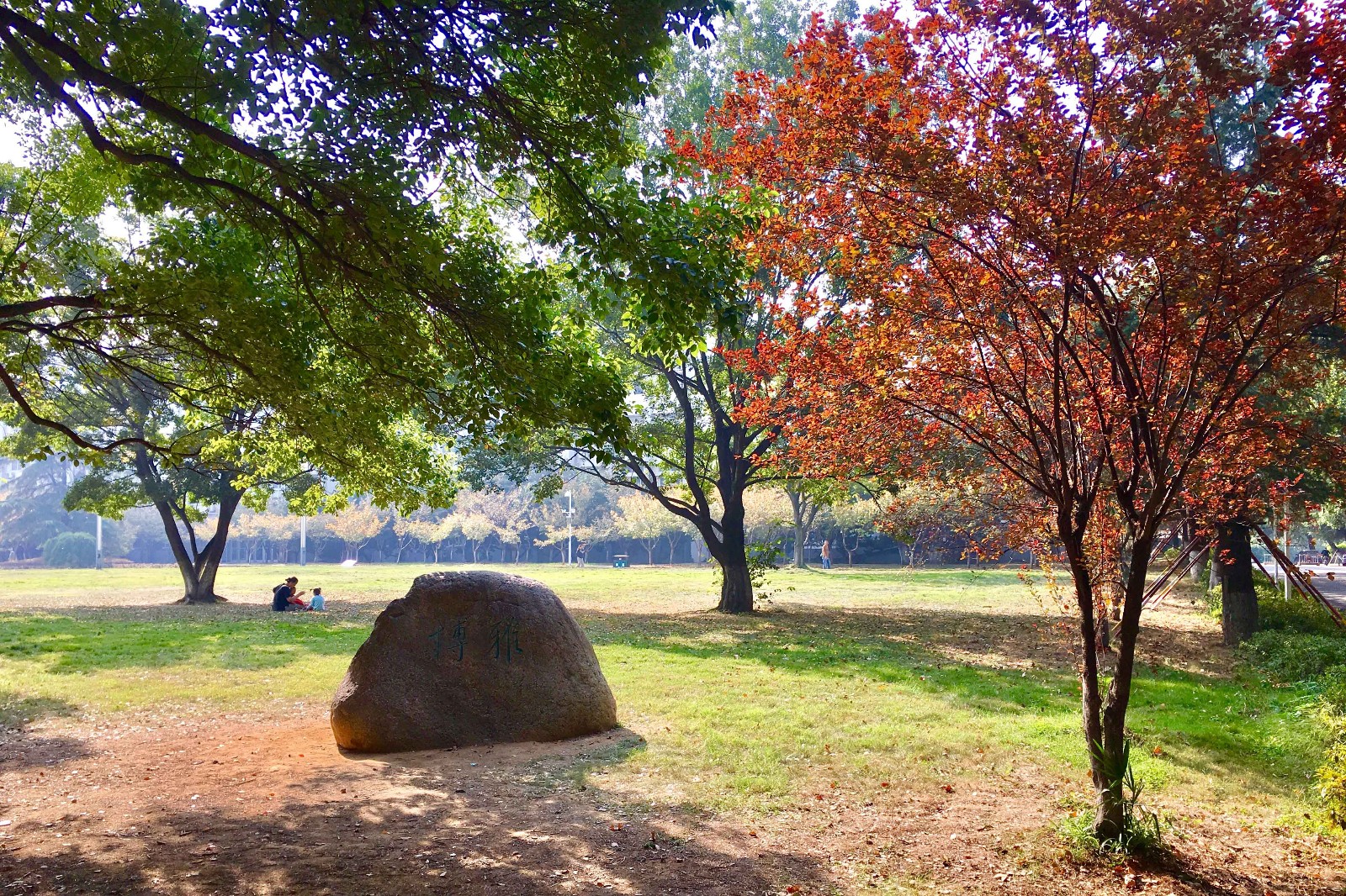 【行摄校园】华中师范大学 小景（1）|图书馆|历史建筑|华中师范大学_新浪新闻