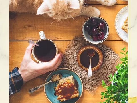 魔都宠物友好餐厅大集合，带上你家主子一起来啊！|咖啡馆|汉堡|宠物_新浪新闻