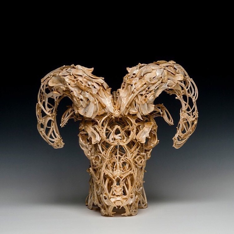 艺术家John Paul Azzopardi用鸡，兔子，鹌鹑等动物骨头制作的艺术品