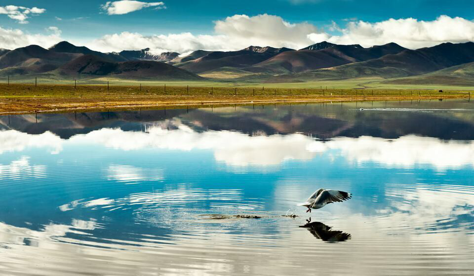 风景图集，美丽的西藏风景