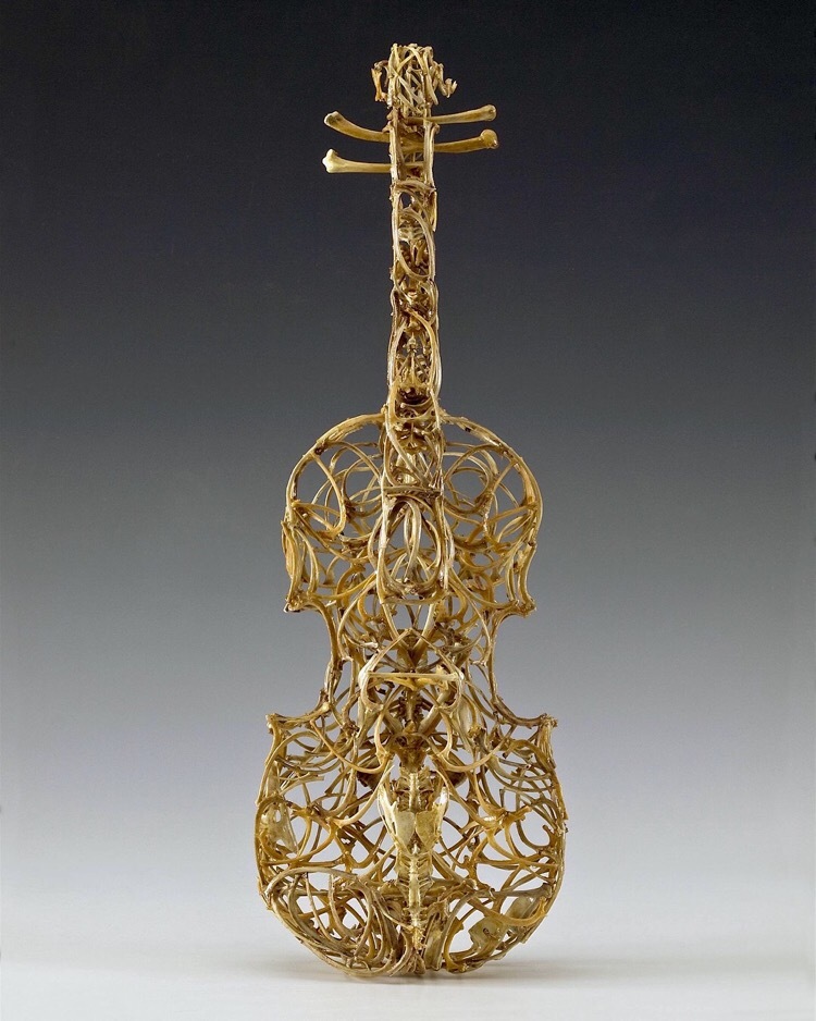 艺术家John Paul Azzopardi用鸡，兔子，鹌鹑等动物骨头制作的艺术品|鹌鹑|骨头|艺术品_新浪新闻