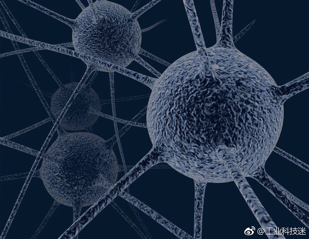 显微镜下的世界：细菌|显微镜|细菌|世界_新浪新闻