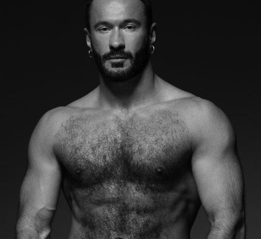 一对为爱殉情的同志壮熊，几分惋惜后的无奈、心酸|奈特|迈克尔|同志_新浪新闻